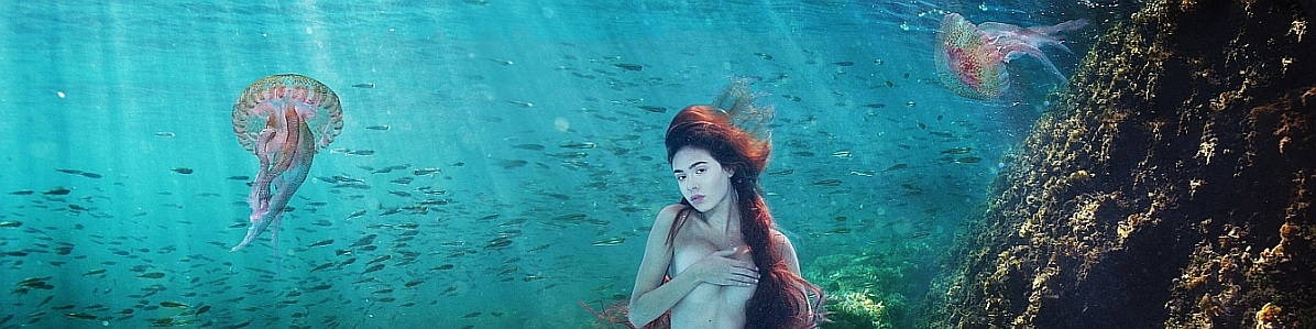 NordArt 2023: Unterwasser-Fotokünstlerin Gaby Fey für mehr Schutz der ...