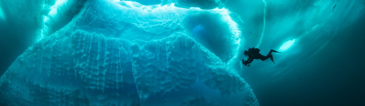 Ice diving at its best in the East of Greenland - Diveinside News