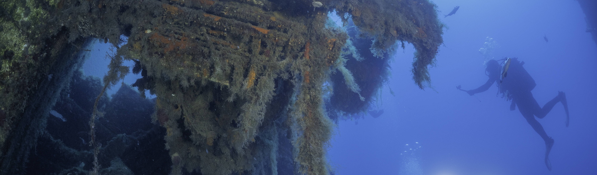 Zypern entdecken - das Wrack der Zenobia - Diveinside News