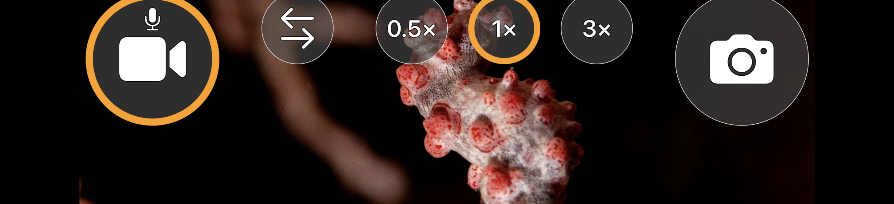 UWACAM 2.0 mit UWACOLOR-Verarbeitung und Vizalyzer AI veröffentlicht ...
