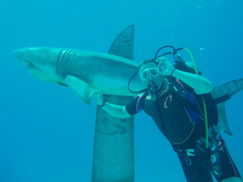 Shark Monument Hurghada - allgemein - Foto 222188 auf Taucher.Net